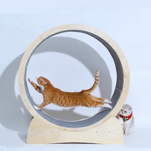 Cat Wheel Cat Toy Exercise Wheel Cute Cat Furniture Circular - Etsy