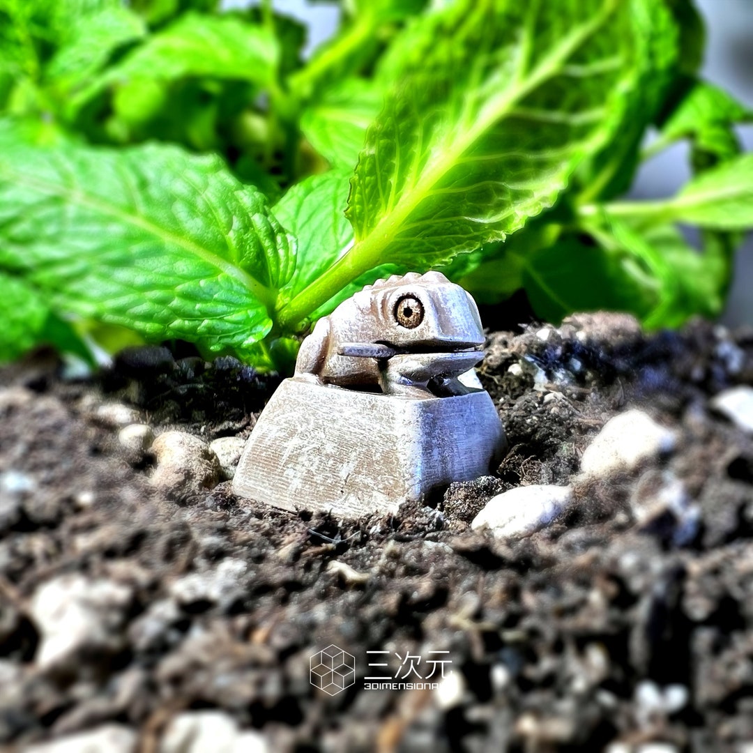 Frog Keycap for Cherry MX Keyboard, Tree Frog Keycap, Wood Frog Keycap ...