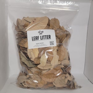 Leaf Litter for Springtail & Isopods | Frogs | Vivariums | Pet Bedding | the Critters Cave ...