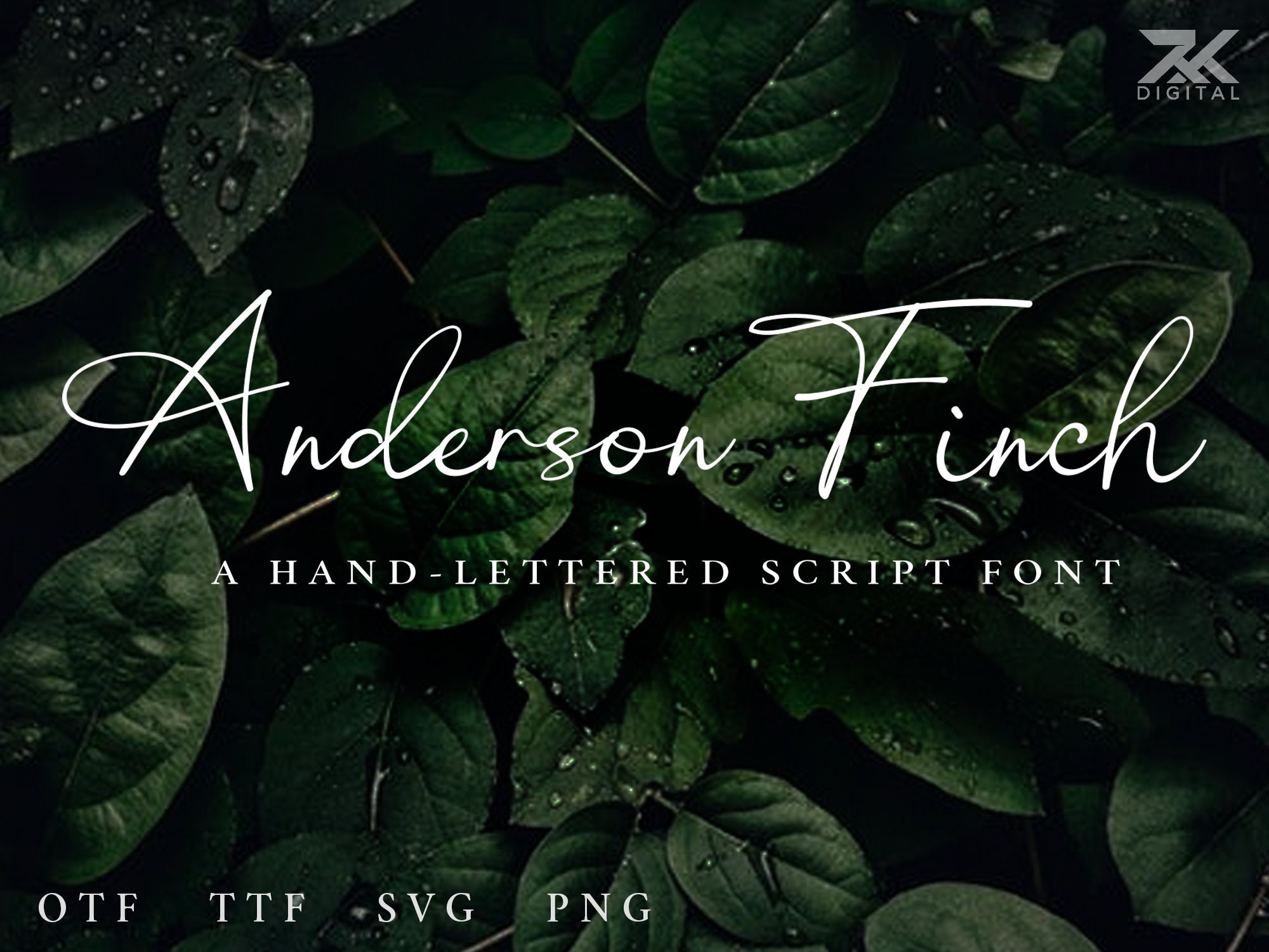 Script Font Handwriting Fonts Font Svg Fonts for Cricut - Etsy UK