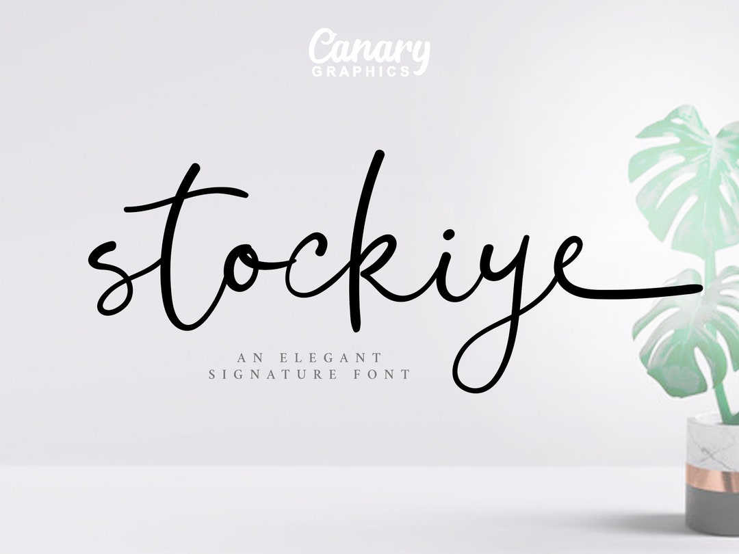 Signature Font, Digital Download, Script Font, Handwriting Font, Font ...