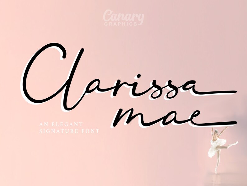 Signature Font Digital Download Script Font Handwriting - Etsy