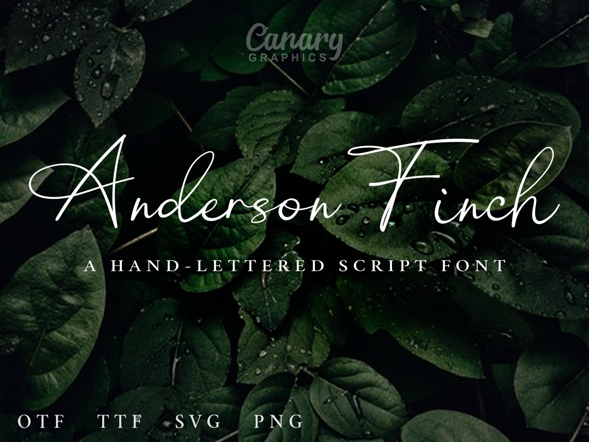 Script Font Bundle, Handwriting Fonts Bundle, Elegant Fonts ...
