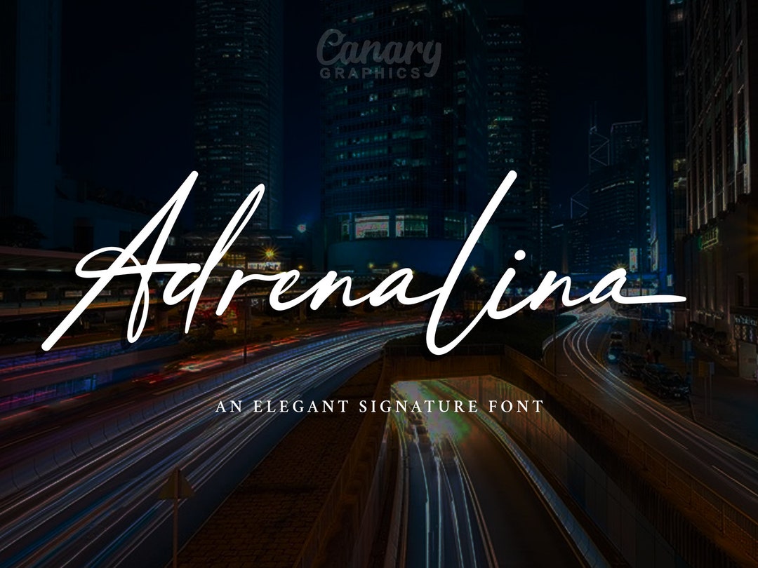 Signature Font, Digital Download, Script Font, Handwriting Font, Font ...