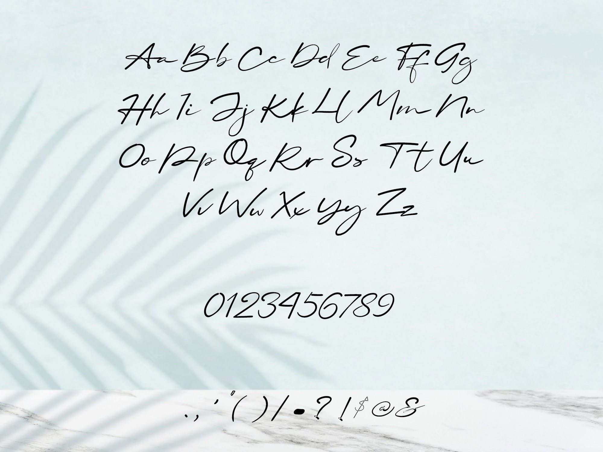 Script Font Elegant Font Handwriting Font Font Svg Font - Etsy