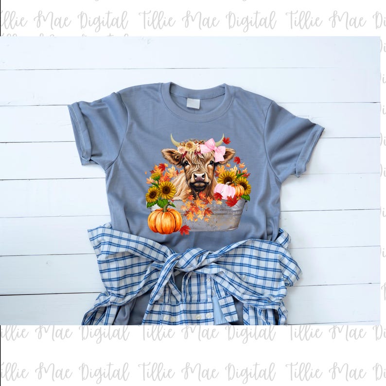 Highland Cow Fall Design Png | Autumn PNG |pumpkins PNG Sublimation ...