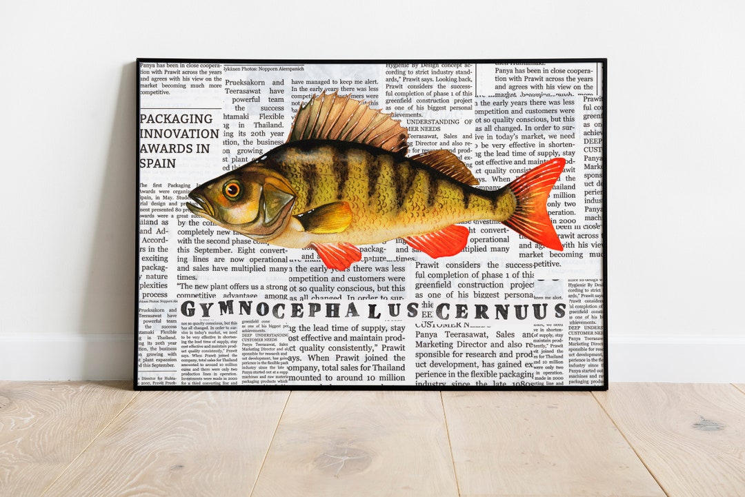 Perch Print Fish Collage Illustration A4 - Etsy