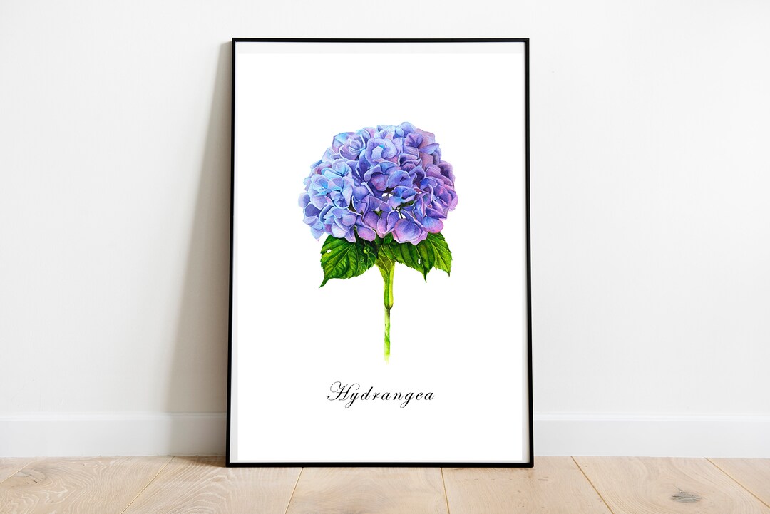 Hydrangea Watercolor Print Flower Interior Design Wall Decoration ...