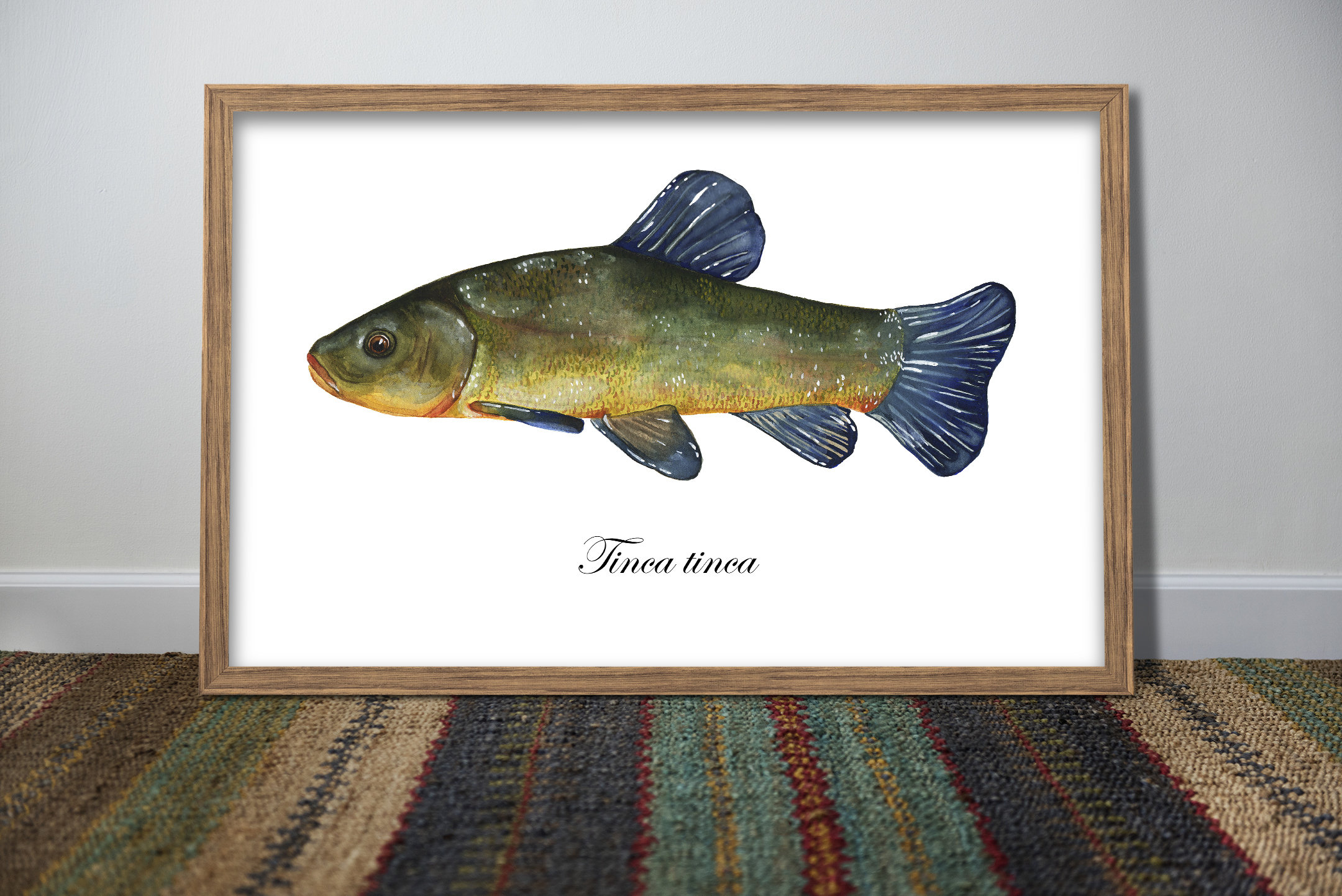 Tench Watercolor Print Fish Interior Design Wall Decoration Fishing ...