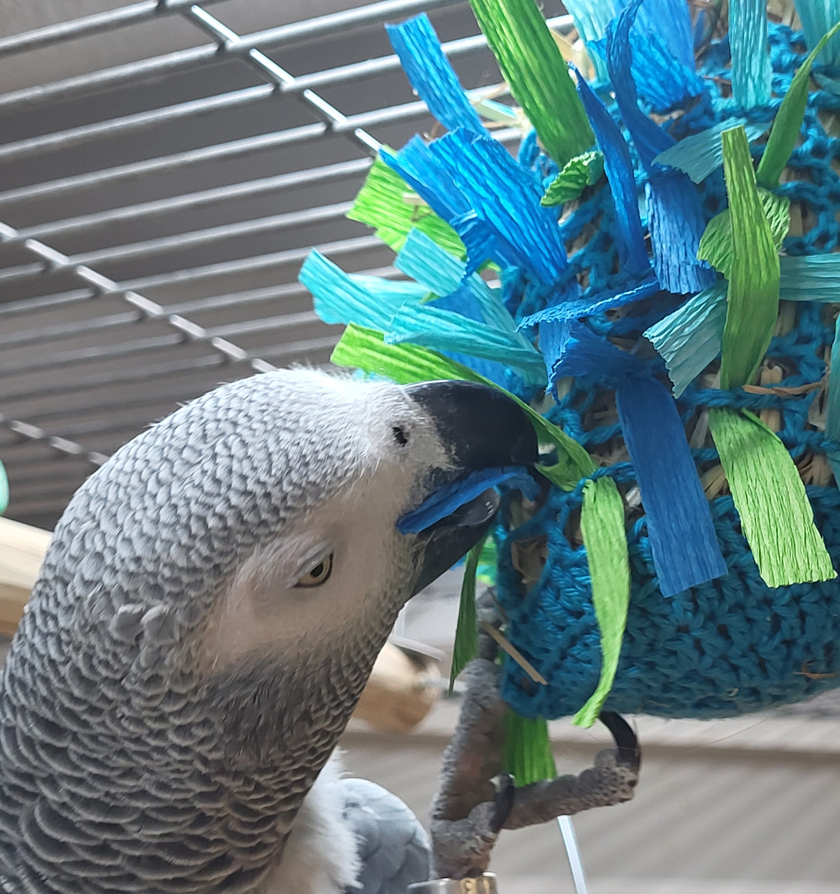 Long Activity for Pluckers Oeko-tex Shredder Toy Search Toy Parrots ...