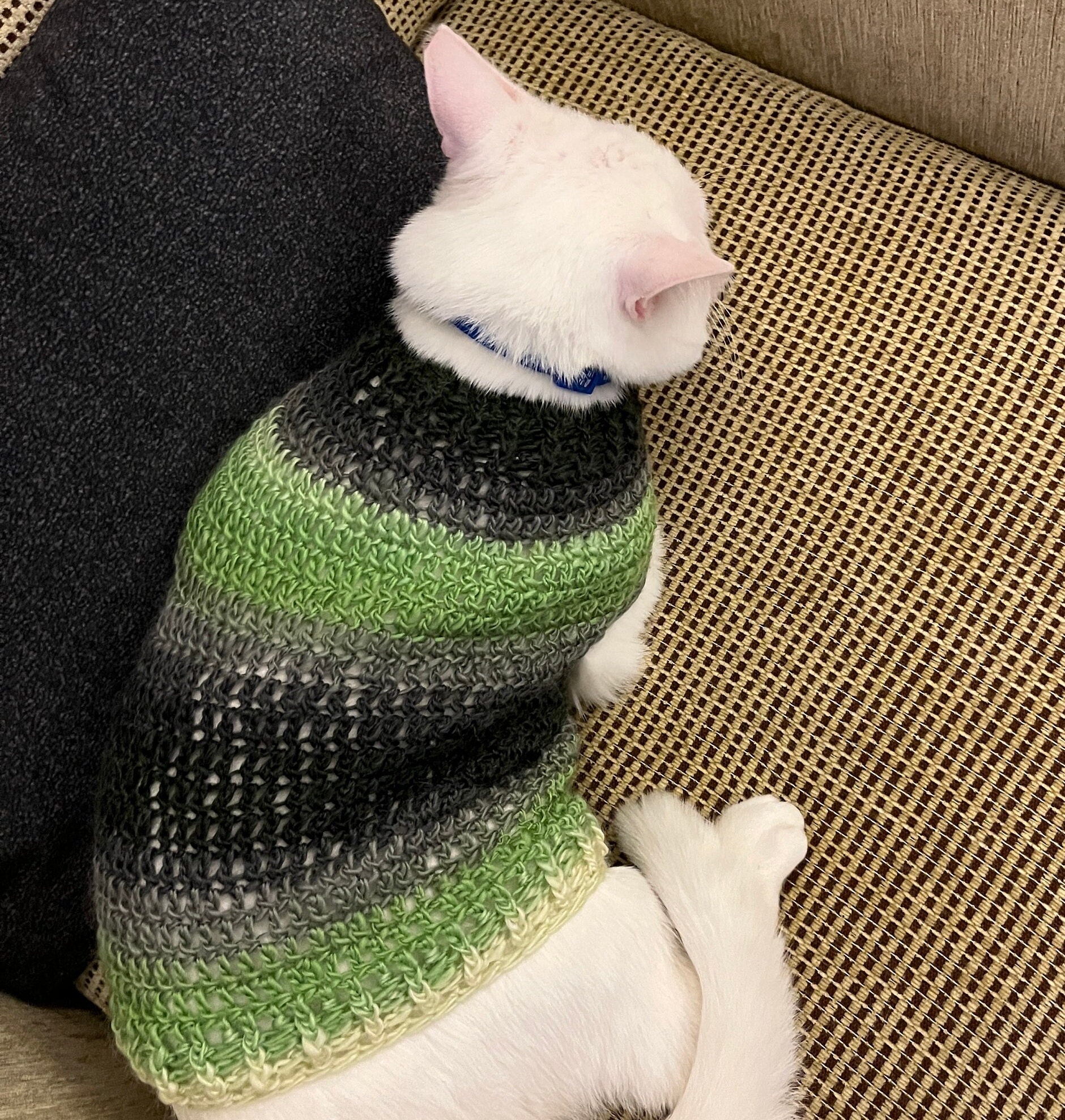 Crochet Cat Dress| Crochet Cat Sweater Pattern, Pet Jumper, DIY, Easy ...