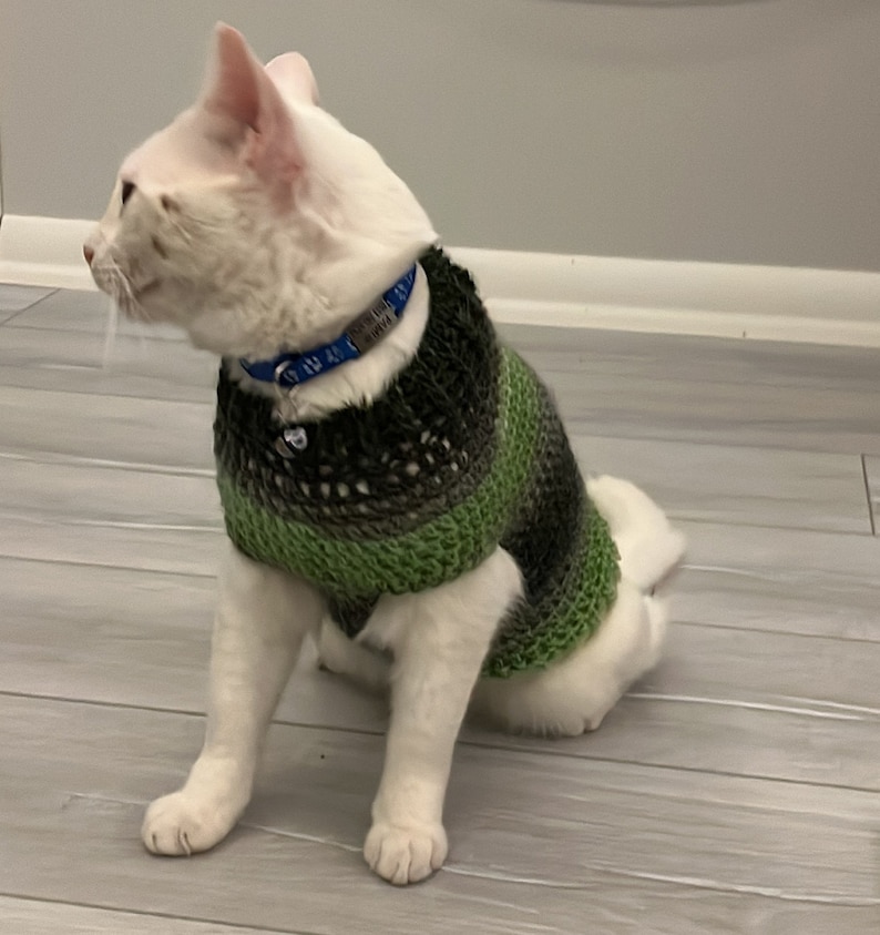 Crochet Cat Dress| Crochet Cat Sweater Pattern, Pet Jumper, DIY, Easy ...