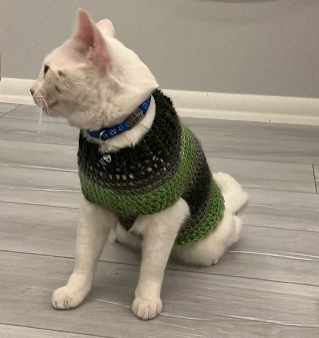 Crochet Cat Dress| Crochet Cat Sweater Pattern, Pet Jumper, DIY, Easy ...