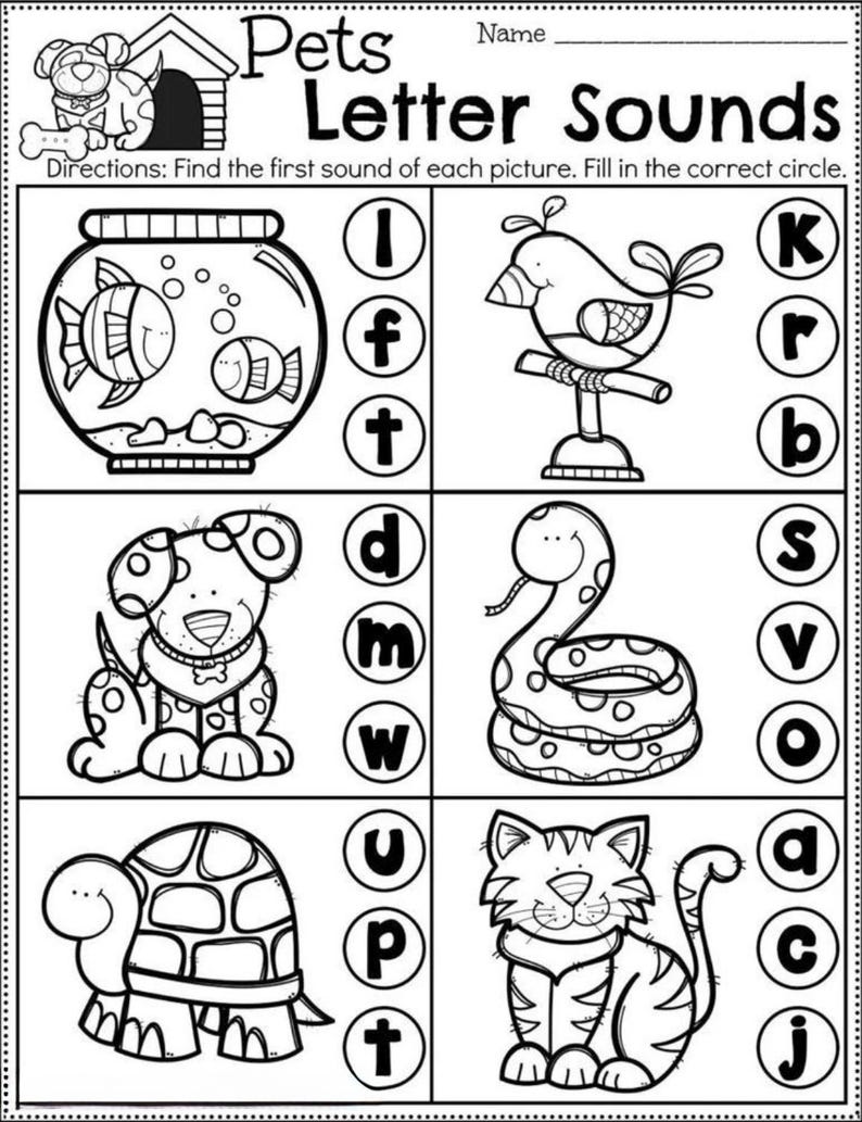 Elementary Reading Worksheets - Etsy