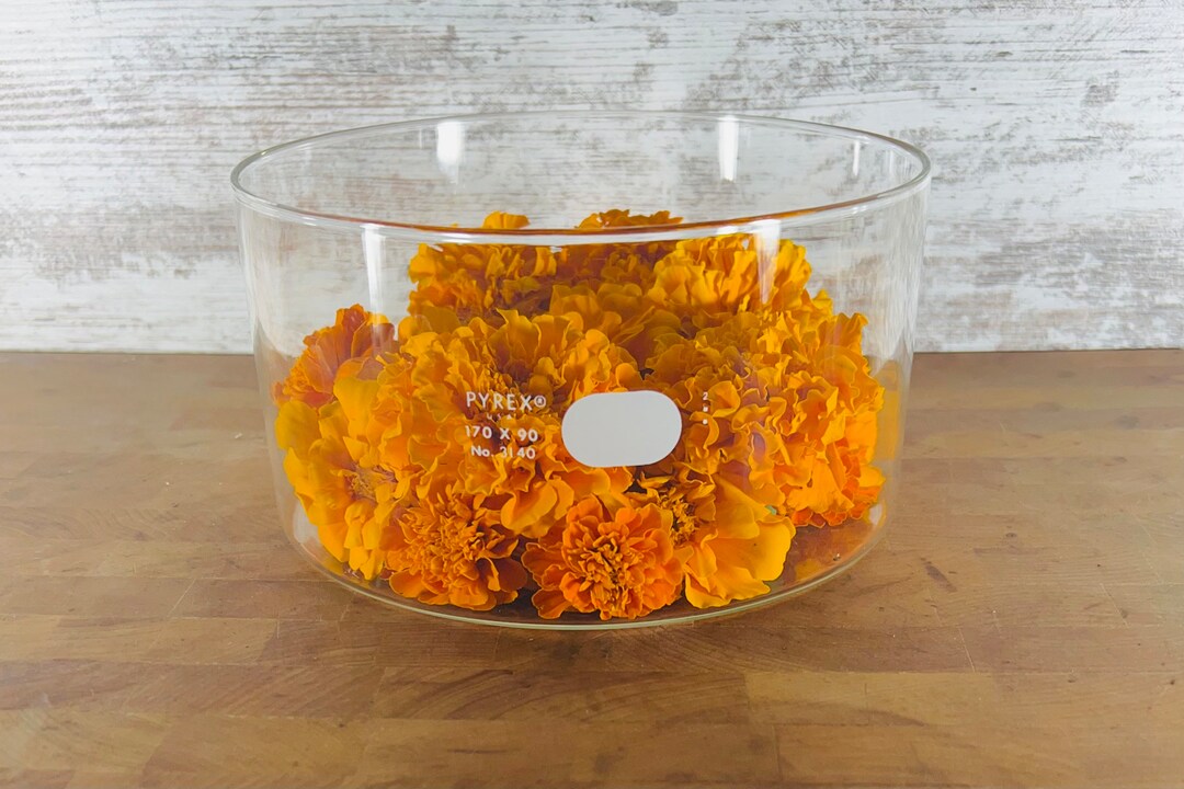 Vintage Crystalizing Dishes, BIG Pyrex Labware, 170x90 Mm, No 3140 ...