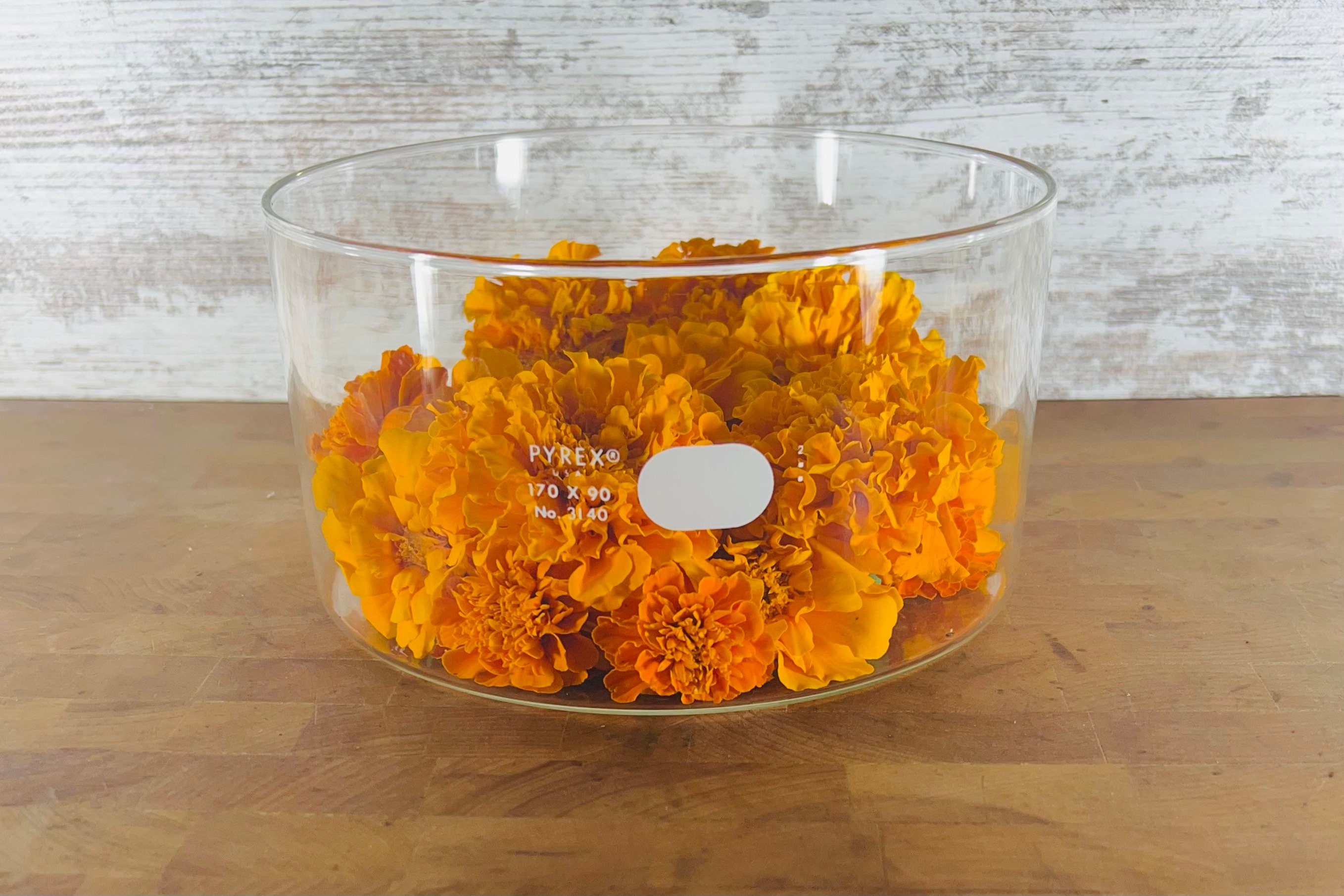 Vintage Crystalizing Dishes, BIG Pyrex Labware, 170x90 Mm, No 3140 ...