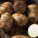 Taro Root Elephant Ear Bulbs 3-pack- Sprouted Edible Plants, Water ...