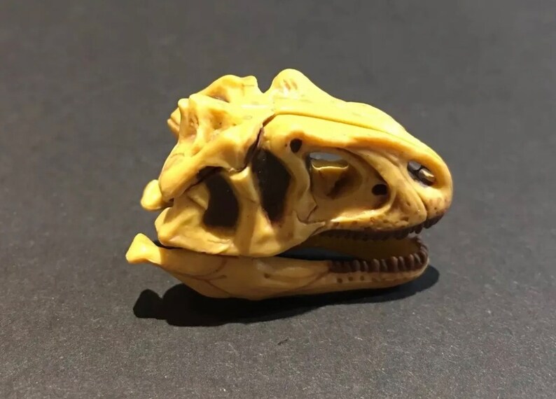 Vintage Kaiyodo Series 2 Allosaurus Skull Skeleton Dinosaur Dinotales ...