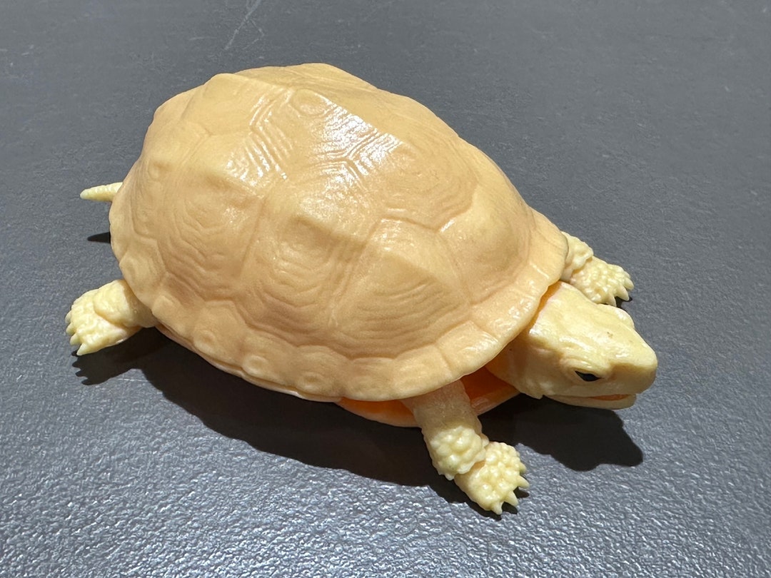 Realistic Box Turtle Model Plastic Figure With Movable Legs and Head ...