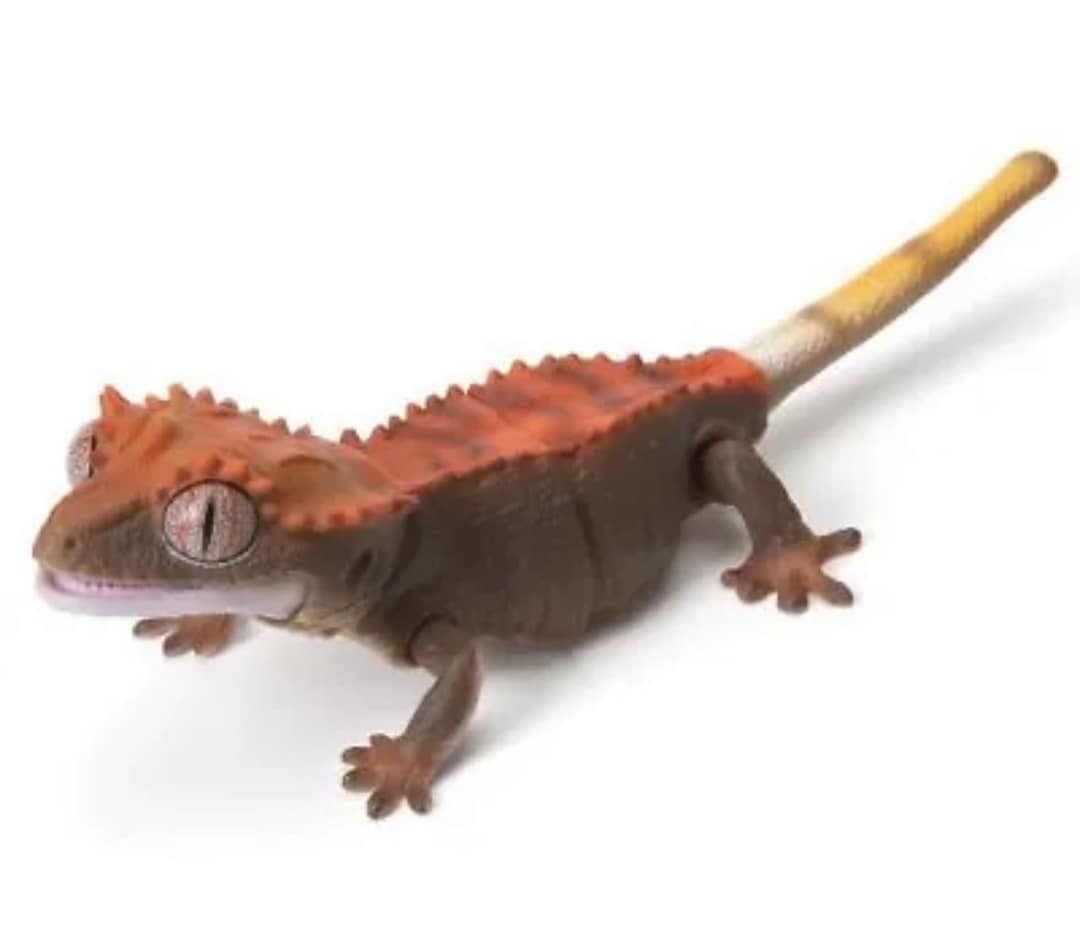 Bandai Crested Gecko Mini Figure 11cm W/ Movable Joints - Bicolor - Etsy