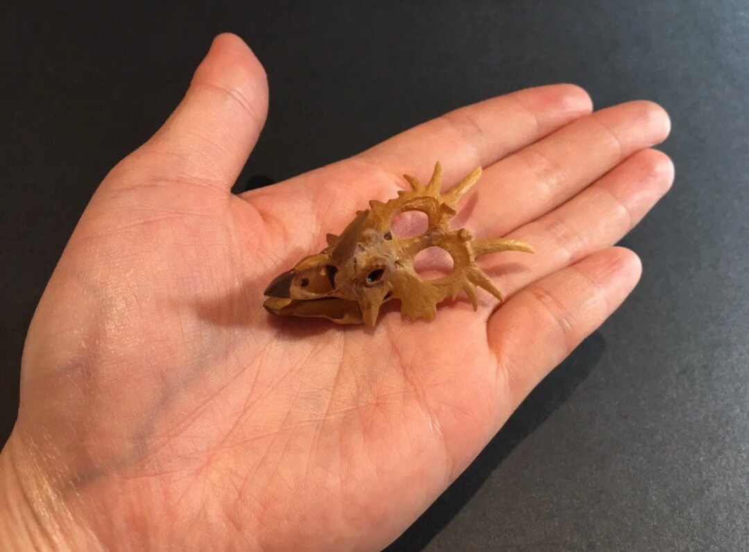 Vintage Kaiyodo UHA Dinotales Series 3 Styracosaurus Skull Dinosaur Figure - Etsy