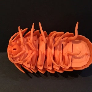 Plastic Pill Bug Roly Poly Insect Potato Bug Isopod KEYCHAIN Figure W ...