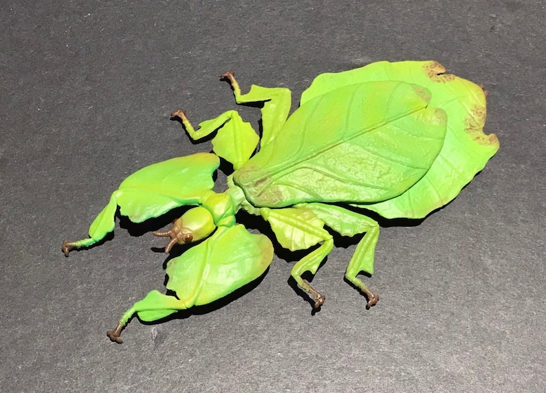 Malaysian Giant Leaf Insect PVC Figure - Etsy