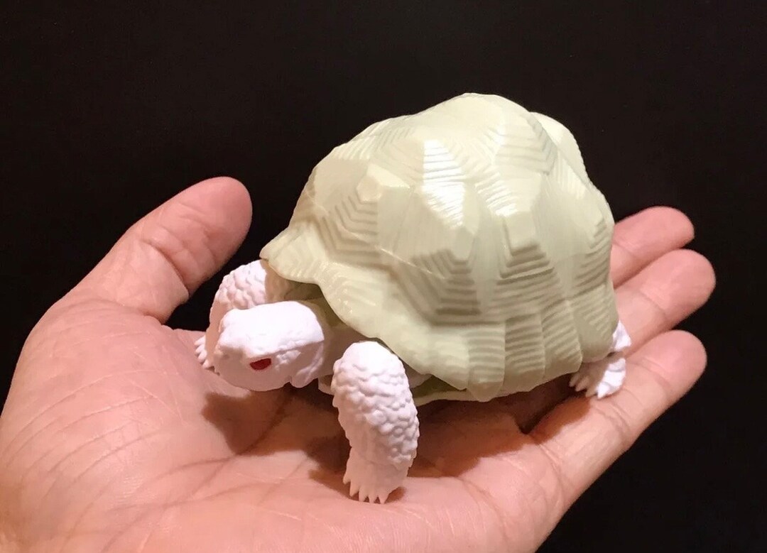 Realistic Indian Star Tortoise Turtle Model Plastic Figure With Movable ...