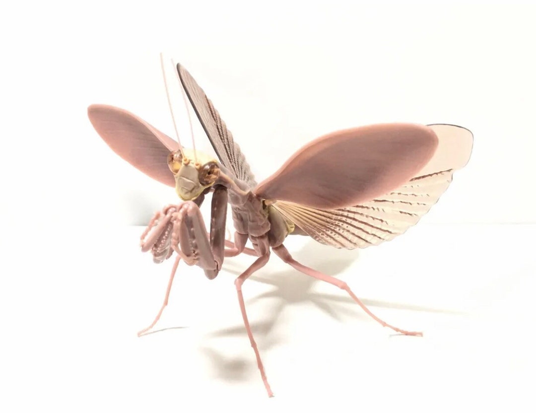 Praying Mantis Light Brown PVC Figure W/ Movable Joints - Etsy