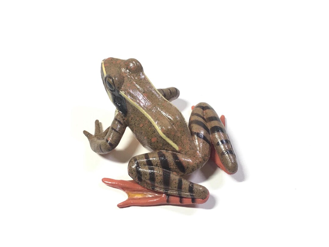 Colorata Forest Brown Nihonaka Gaeru Frog Toad PVC Figure - Etsy