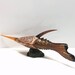 Vintage Kaiyodo Series 2 Pteraspis Armored Fish Dinosaur Dinotales ...