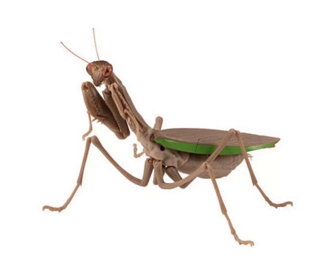 Praying Mantis Brown PVC Figure W/ Movable Joints Large Abdomen Version ...