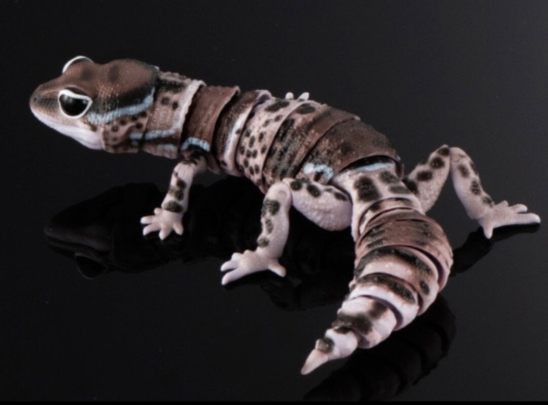 Western African Lizard Gecko Figure Oreo - Etsy