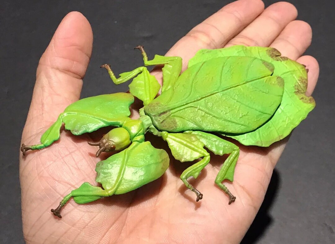 Malaysian Giant Leaf Insect PVC Figure - Etsy