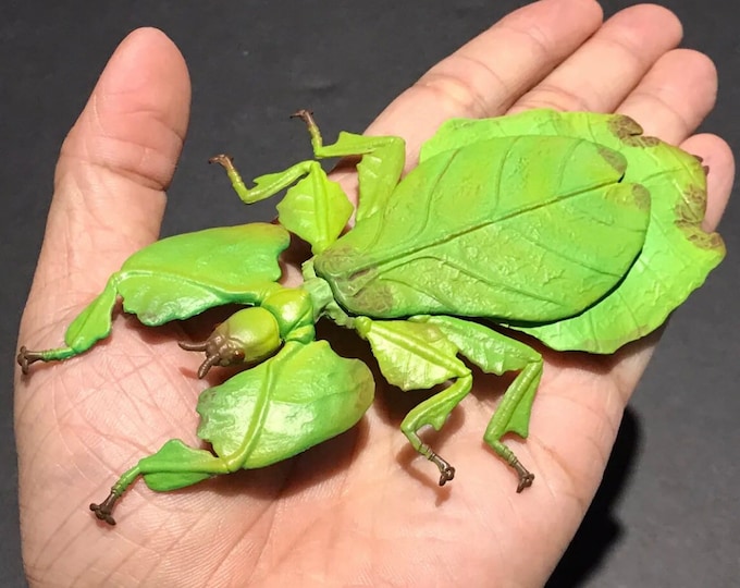 Malaysian Giant Leaf Insect PVC Figure - Etsy
