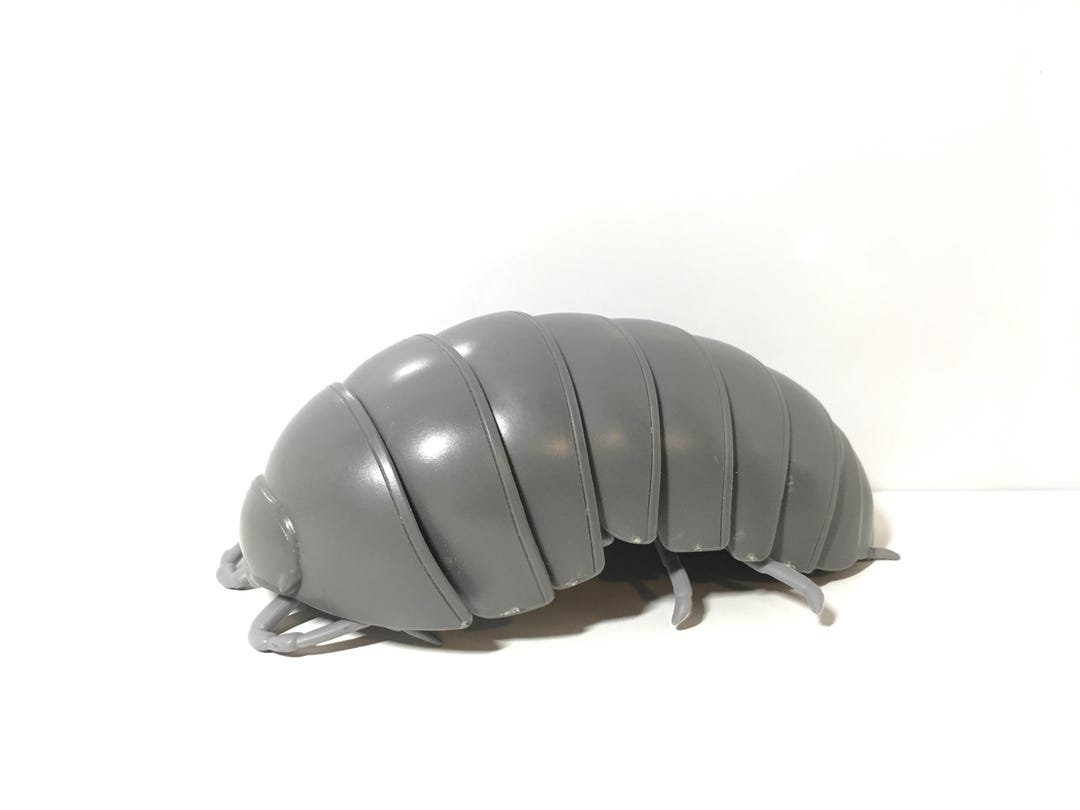 Plastic Pill Bug Roly Poly Insect Potato Bug Isopod Figure W/moving ...