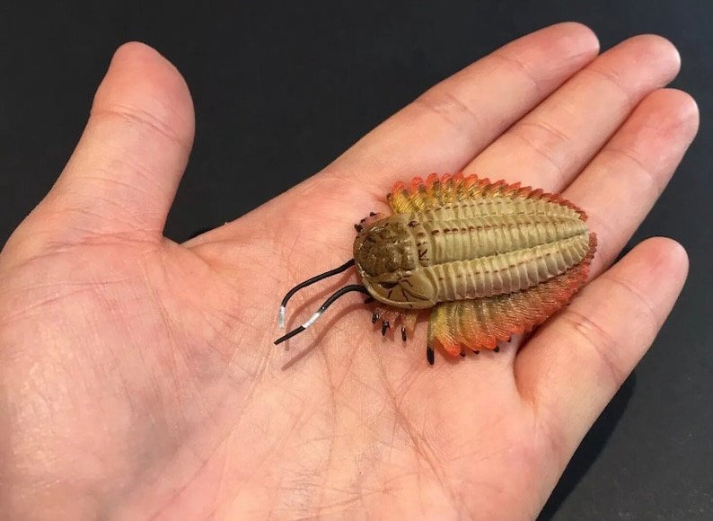 Vintage Kaiyodo UHA Dinotales Series 3 Triarthrus Trilobite Dinosaur ...