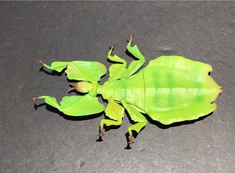 Malaysian Giant Leaf Insect PVC Figure - Etsy