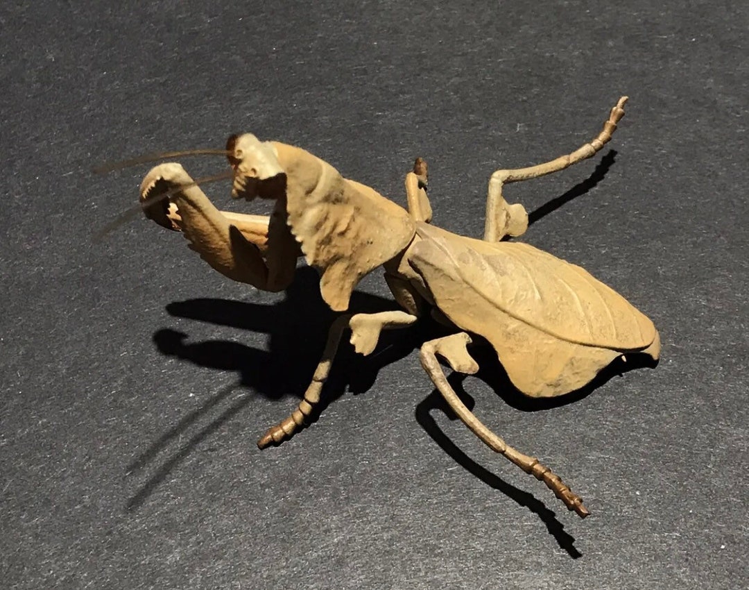 Brown Leaf Praying Mantis PVC Figure - Etsy