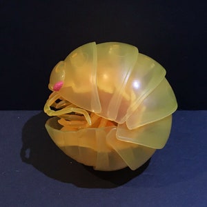 Plastic Pill Bug Roly Poly Insect Potato Bug Isopod Figure W/moving ...