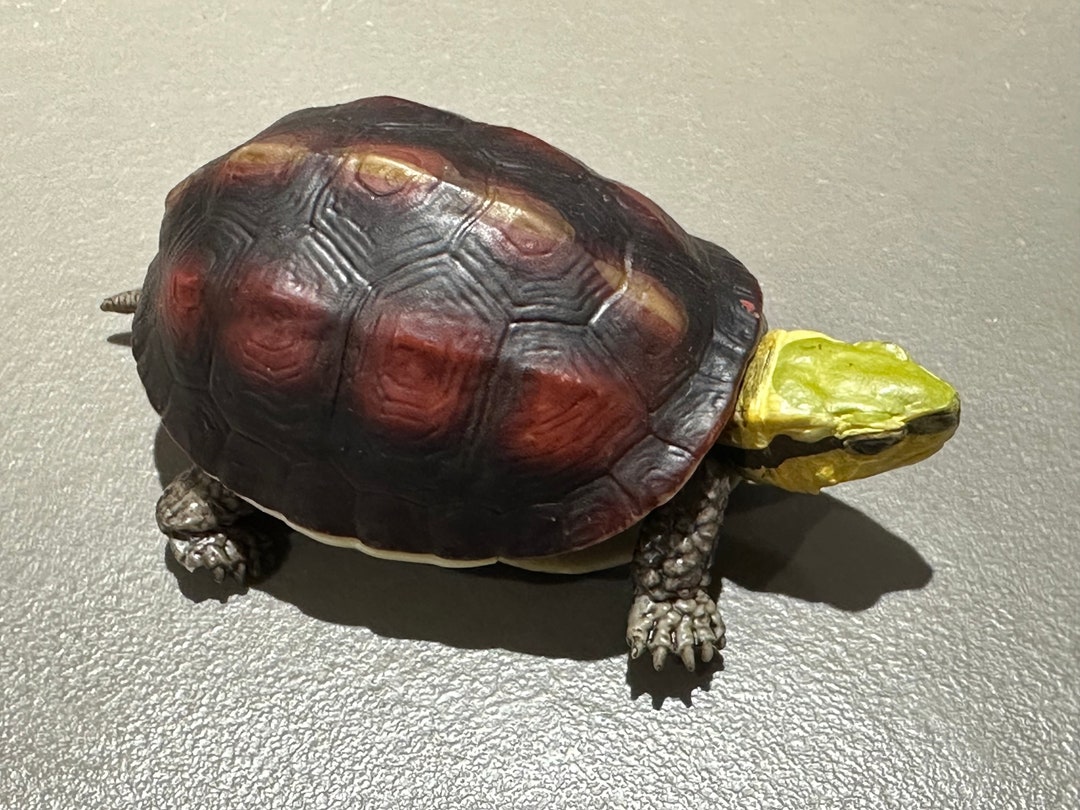 Realistic Box Turtle Model Plastic Figure With Movable Legs and Head ...