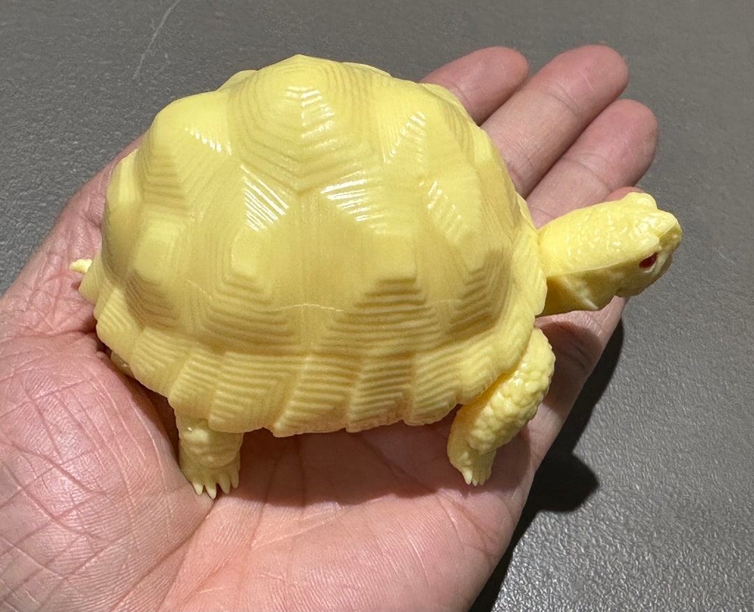Realistic Radiated Star Tortoise Turtle Model Plastic Figure With ...