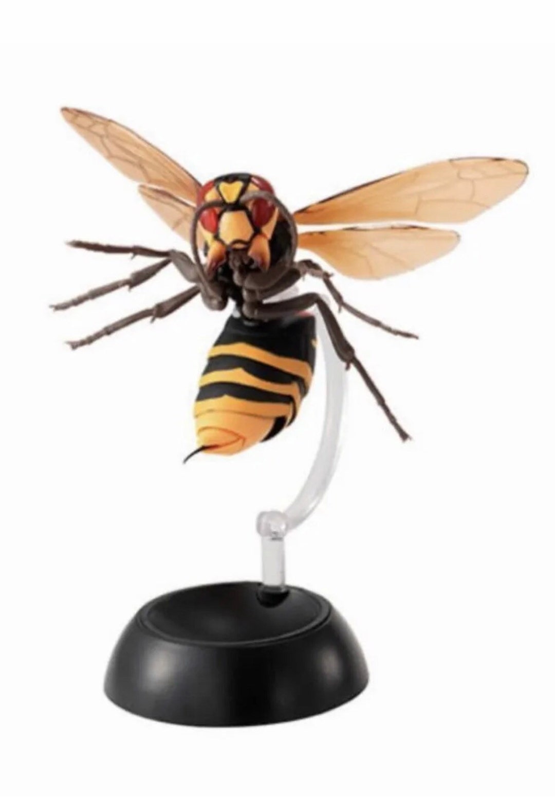 European Hornet Murder Wasp PVC Figure W/ Movable Joints & Display ...