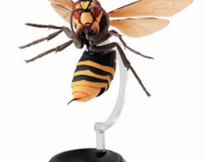 European Hornet Murder Wasp PVC Figure W/ Movable Joints & Display ...