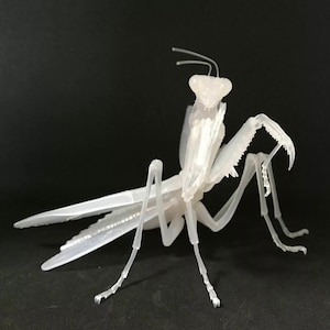 Praying Mantis Clear Albino White Insect PVC Figure W/ Movable Joints ...
