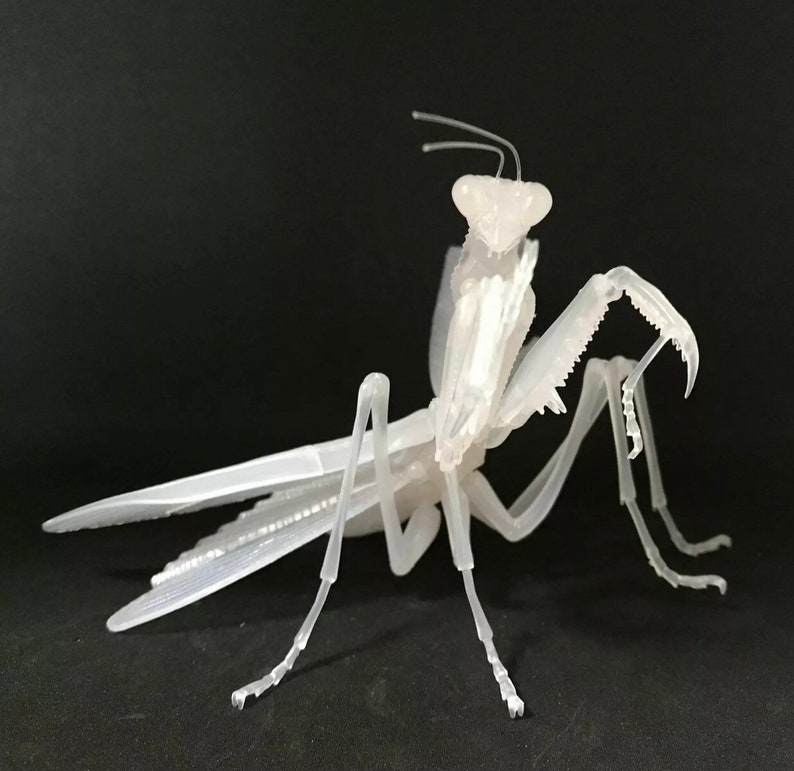 Praying Mantis Clear Albino White Insect PVC Figure W/ Movable - Etsy
