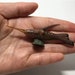 Vintage Kaiyodo Series 2 Pteraspis Armored Fish Dinosaur Dinotales ...