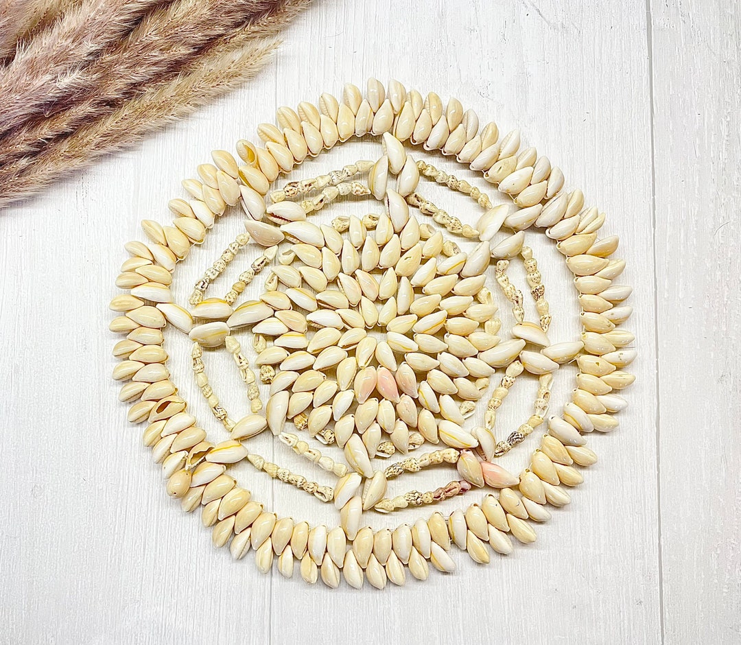 Hand Crafted Vintage Cowrie Sea Shell Woven Trivet Hot Pad, Table Top ...