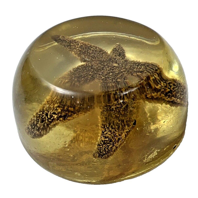 Mid Century Modern Sea Ocean Beach Starfish Paperweight Lucite ...