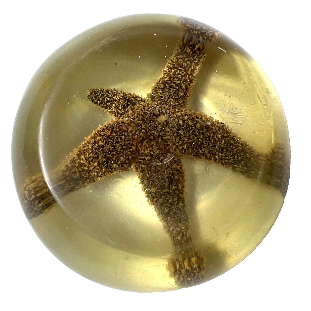Mid Century Modern Sea Ocean Beach Starfish Paperweight Lucite ...